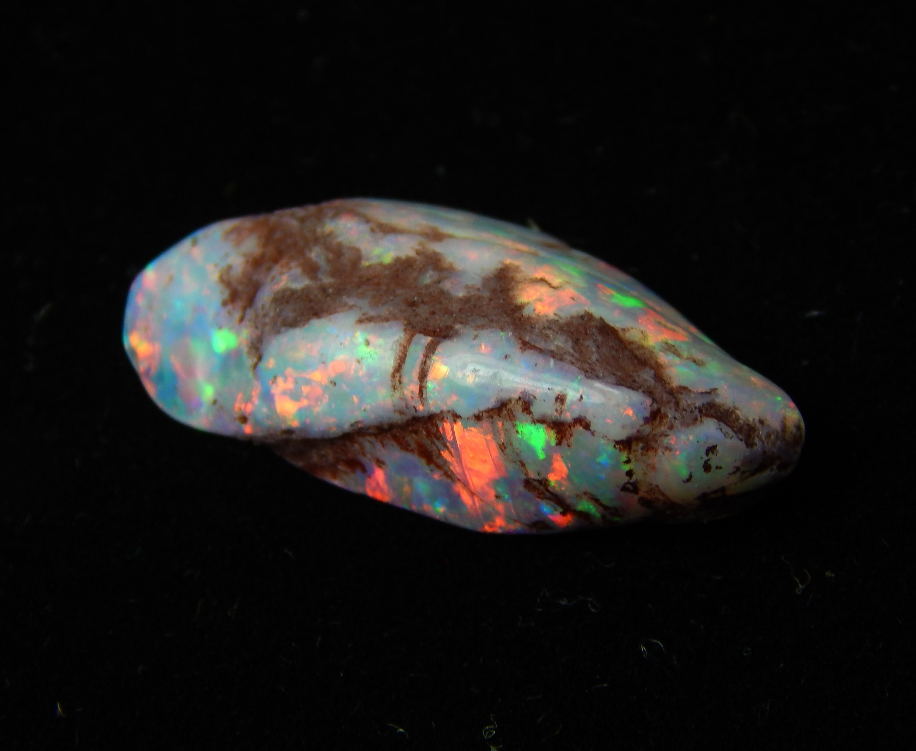 7 Carat Australian Opal Fossil Shell Fancy Shape Gemstone | Etsy