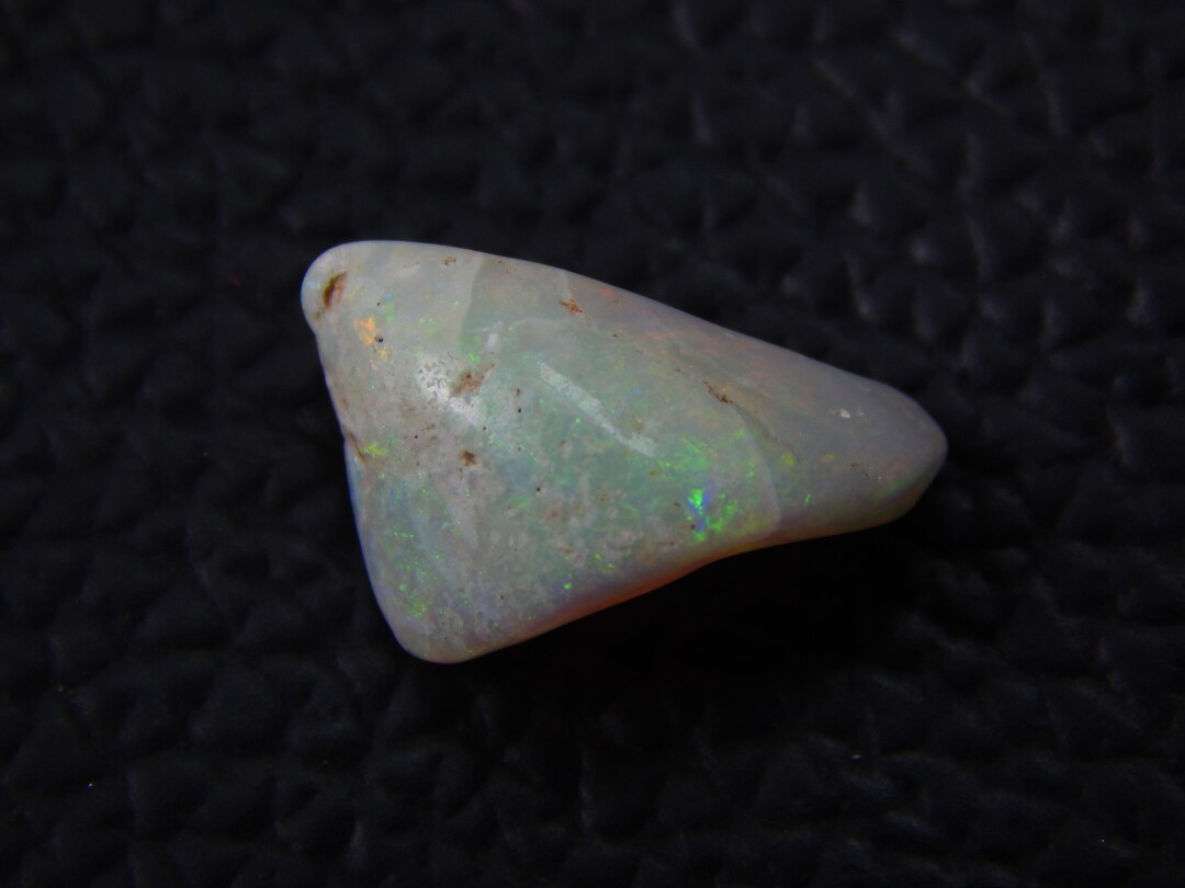 2.5 Carat Australian Opal Fossil Shell Fancy Shape Gemstone Shell Size ...