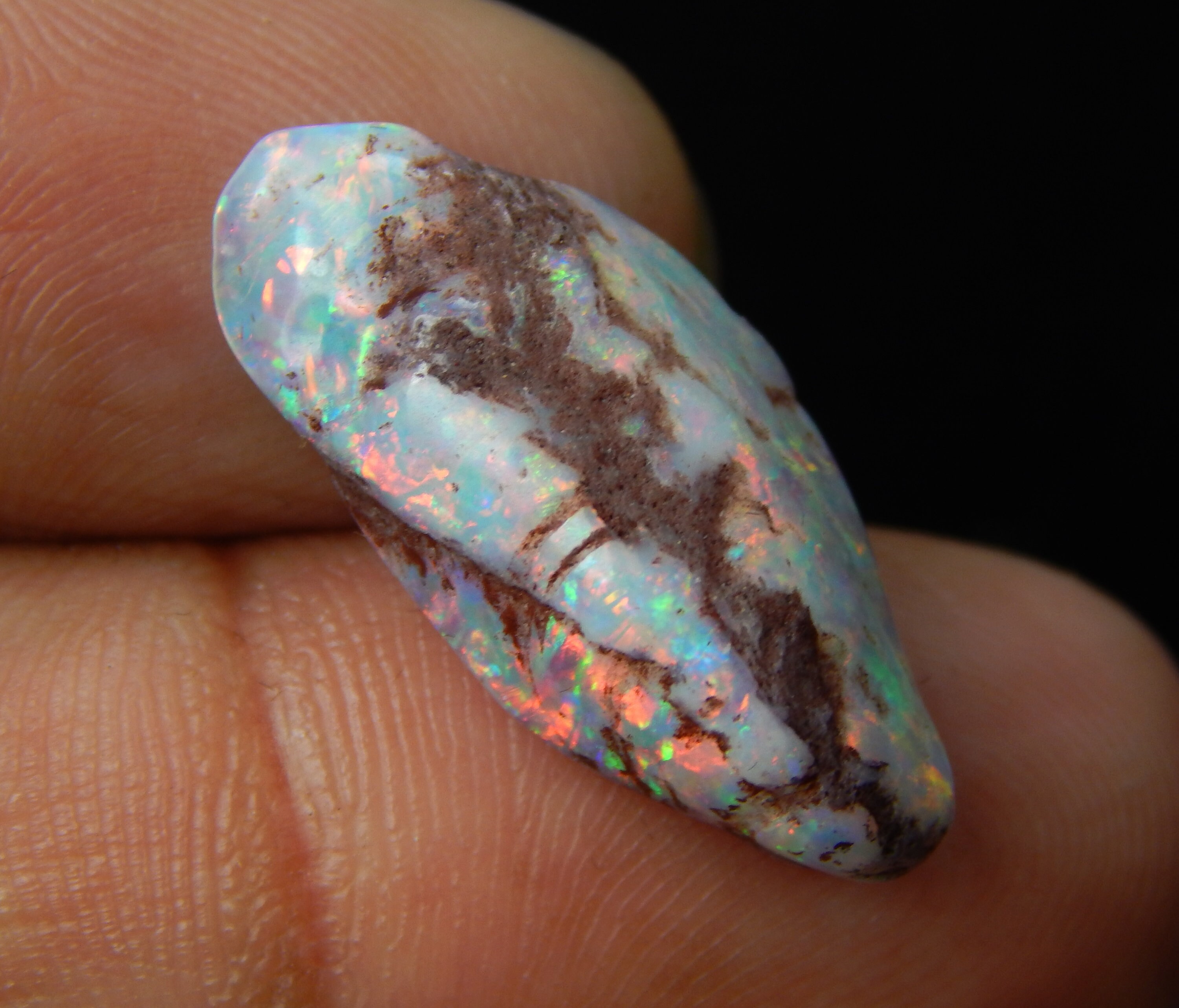 7 Carat Australian Opal Fossil Shell Fancy Shape Gemstone | Etsy