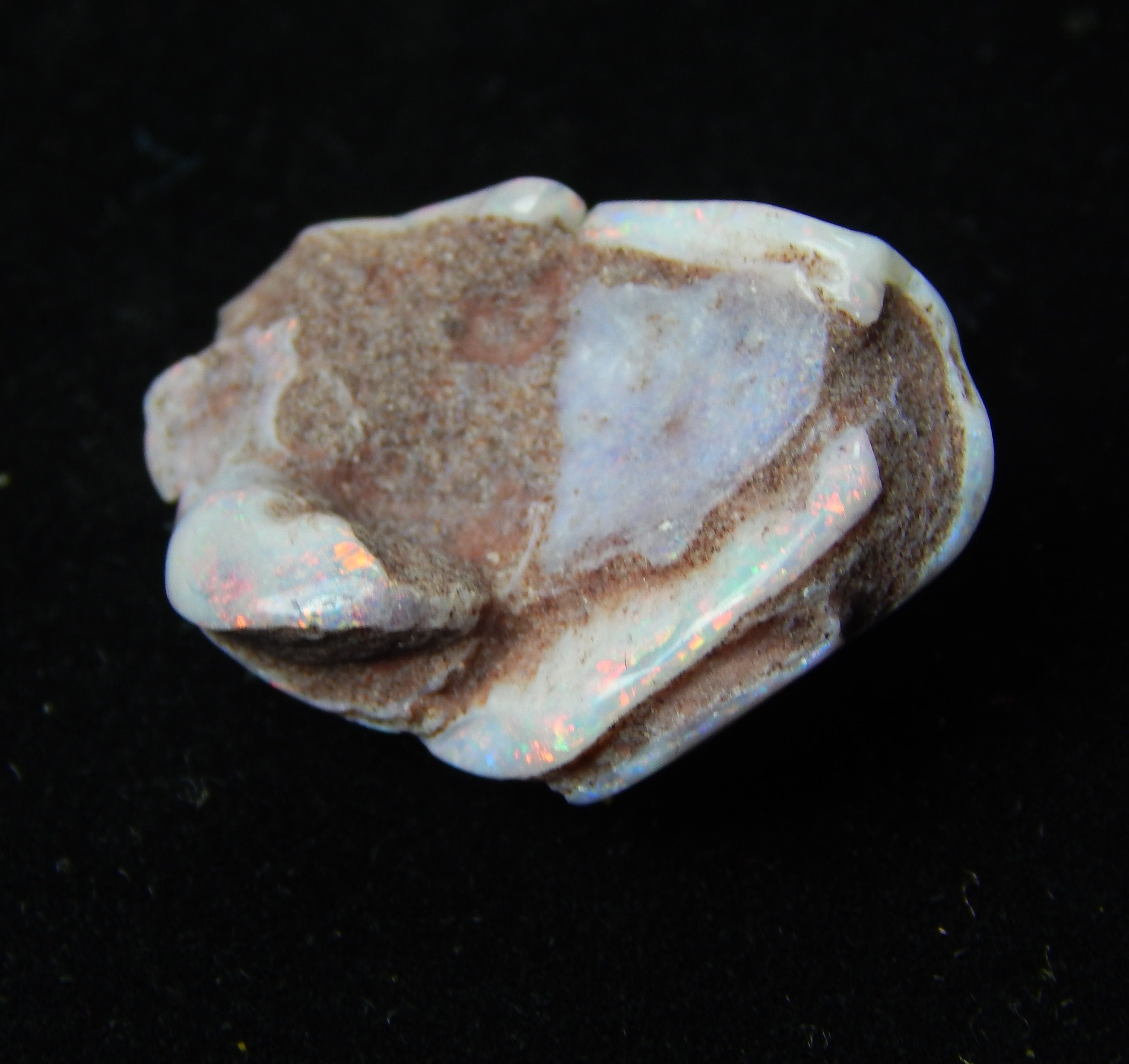 19 Carat Australian Opal Fossil Shell Fancy Shape Gemstone | Etsy