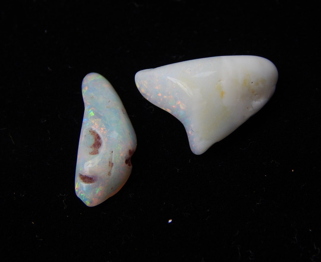 5 Carat, Australian Opal, Fossil Shell, Fancy Shape, 2 Piece Gemstone ...