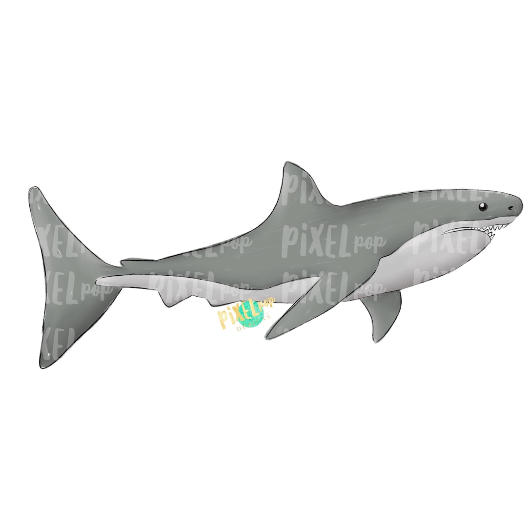 Grey Shark Great White PNG | Shark | Shark Art | Shark Sublimation ...