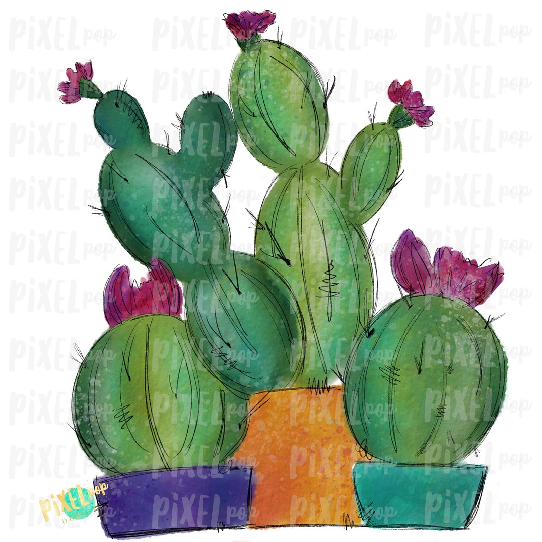 Cactus Trio Watercolor Sublimation PNG | Cactus Design | Printable ...