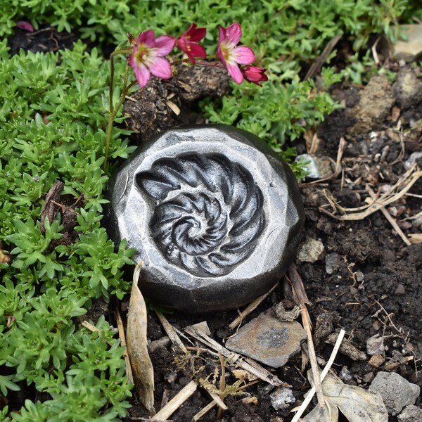 Ammonite - Etsy