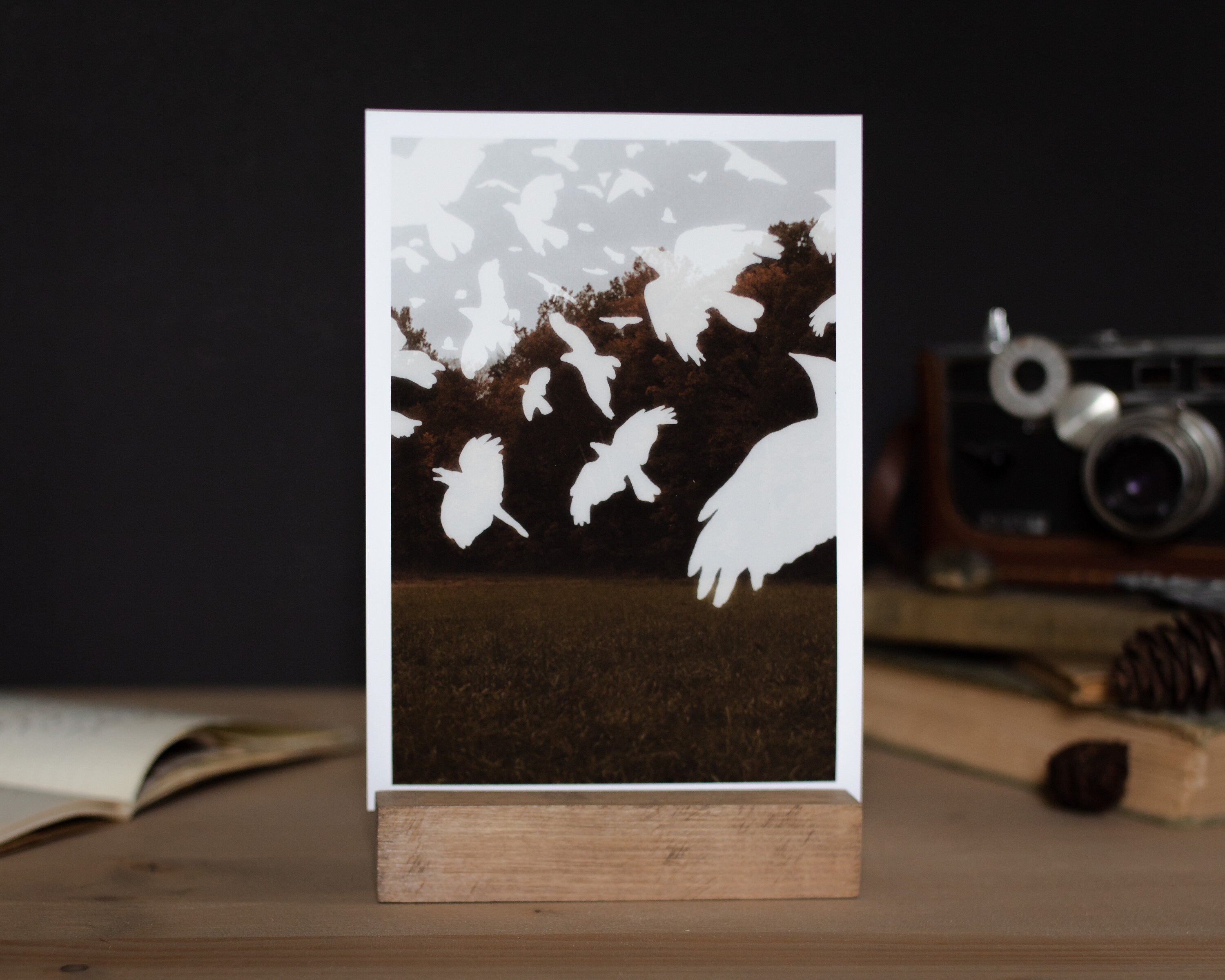 Warning Sign 5x7in Illustration Print Cryptid Crow Art - Etsy