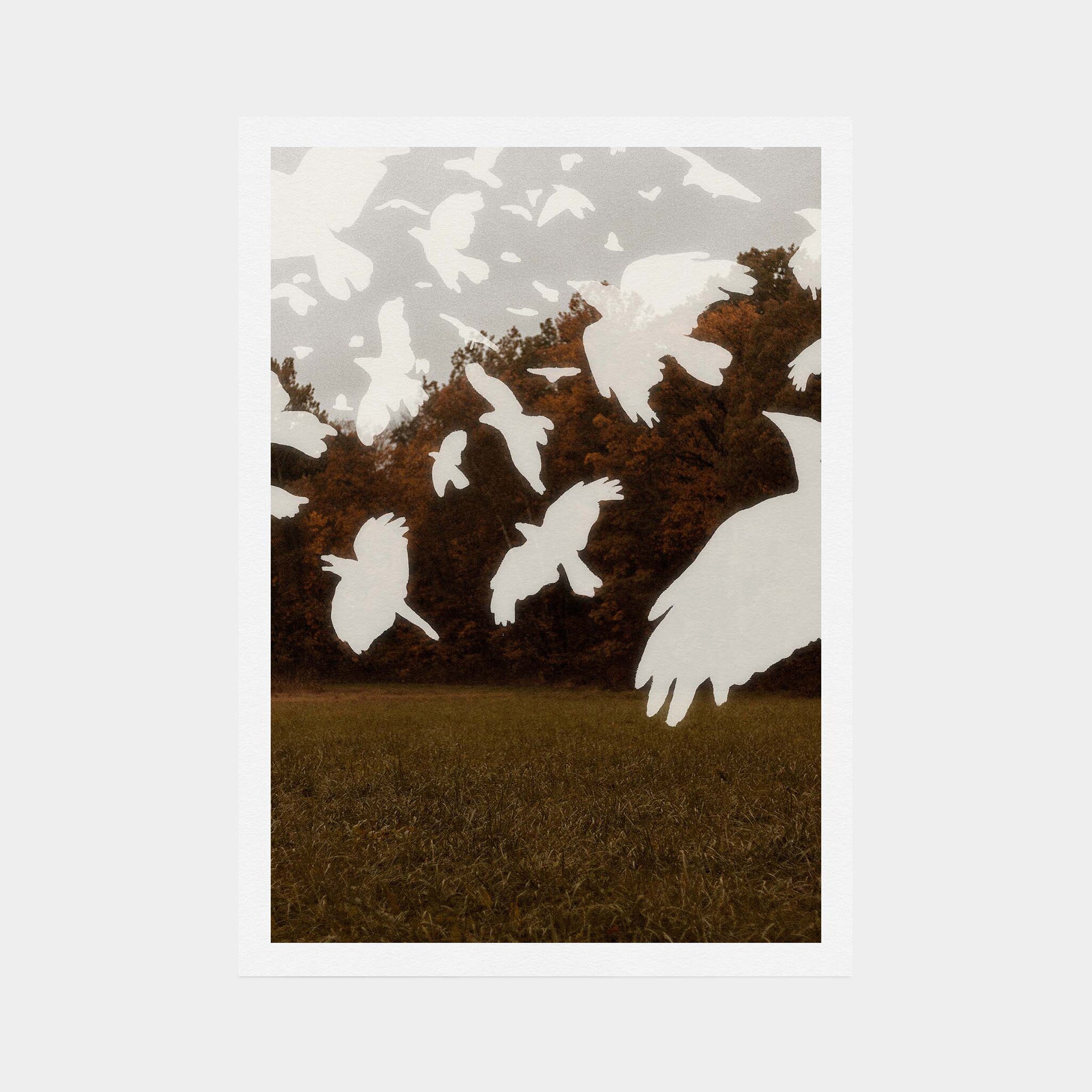 Warning Sign 5x7in Illustration Print Cryptid Crow Art - Etsy