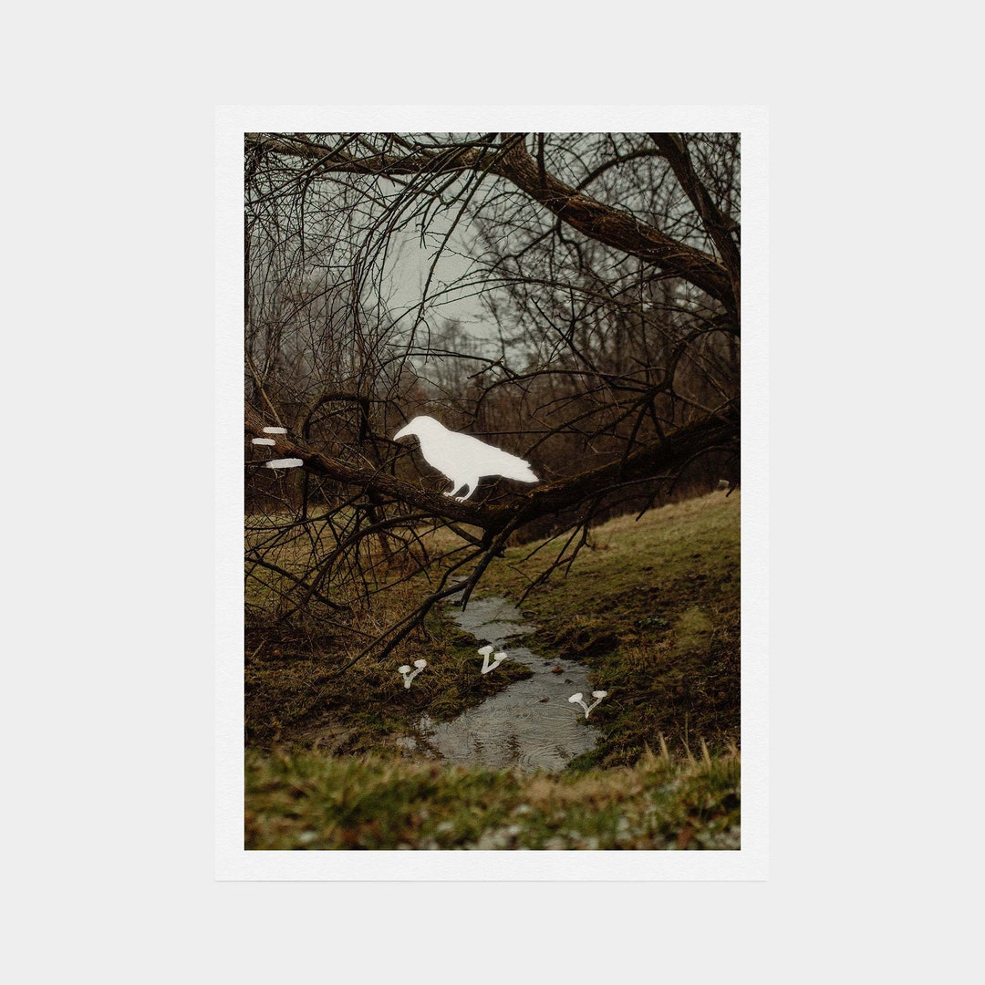 Thaw of Winter 8.5x11in Illustration Print Cryptid Crow Art Folk Art ...