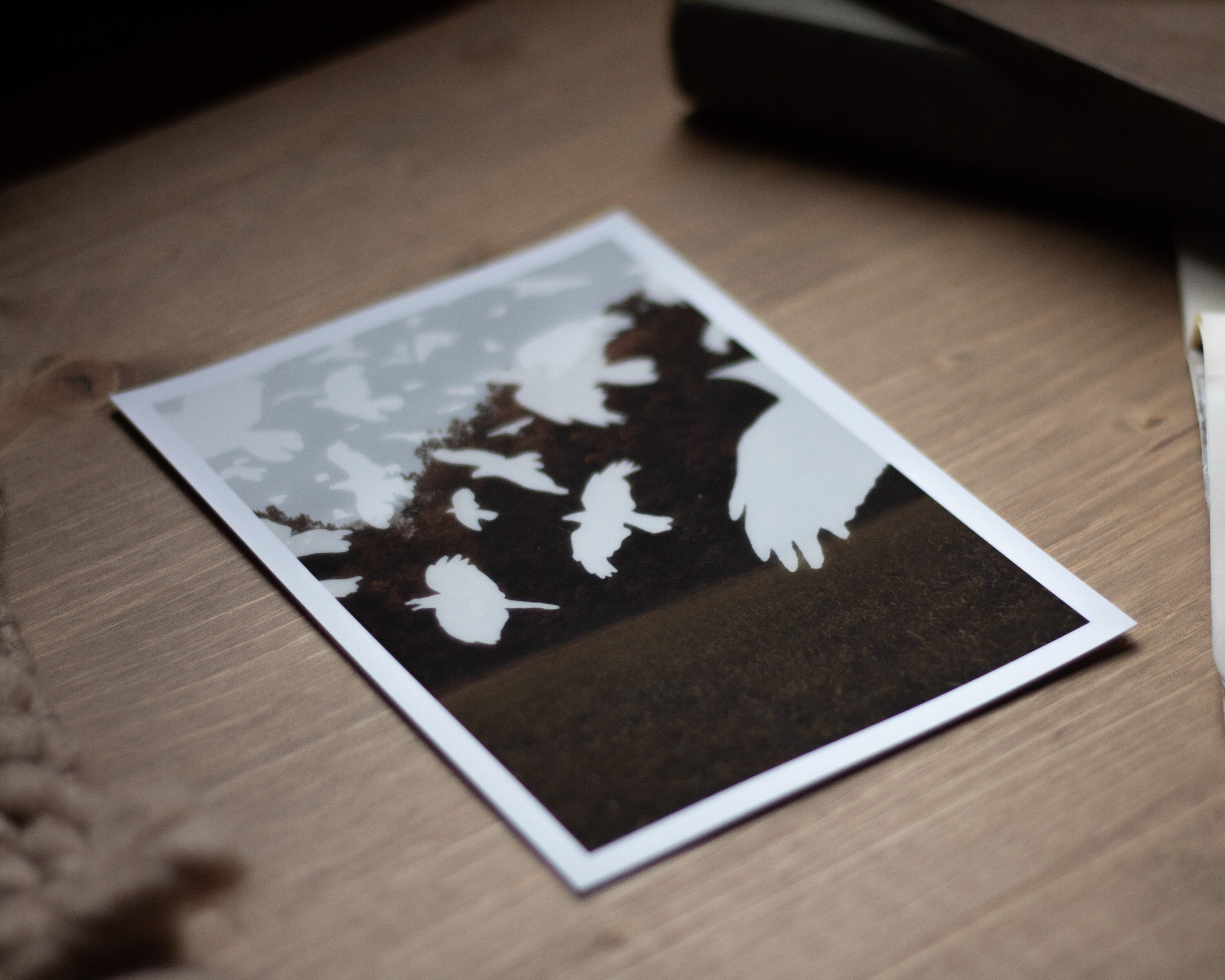 Warning Sign 5x7in Illustration Print Cryptid Crow Art - Etsy