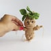Mandrake Plant. Mandrake Root Home Decor. Mandrake Faux Plant. Potted ...
