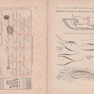 ORNAMENTAL DRAWINGS and PENMANSHIP, Instant Digital Download; Script ...