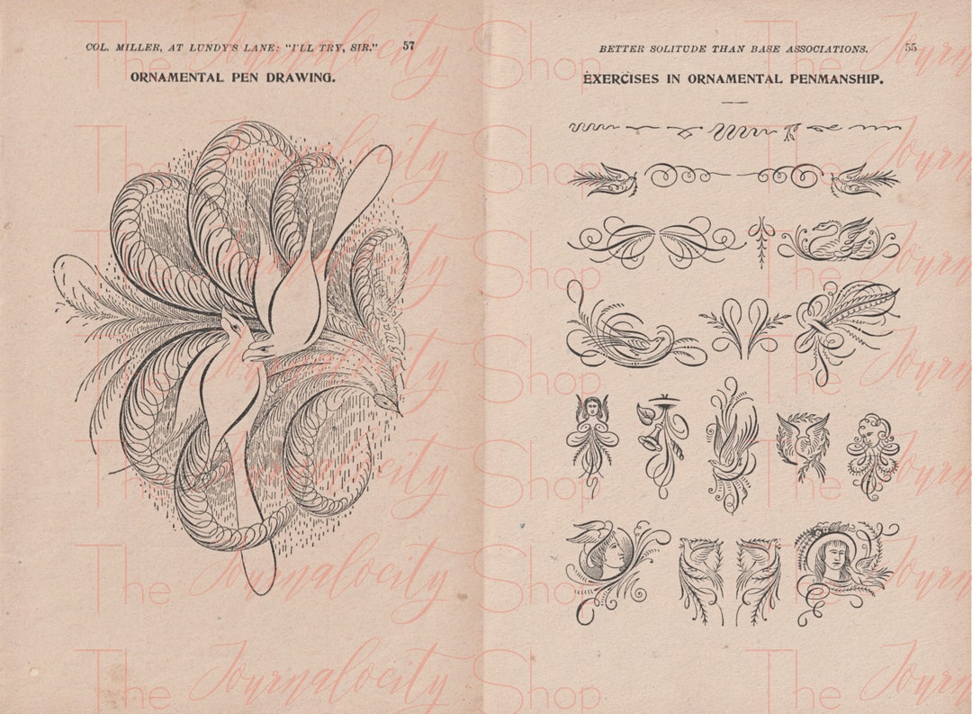 ORNAMENTAL DRAWINGS and PENMANSHIP, Instant Digital Download; Script ...