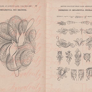 ORNAMENTAL DRAWINGS and PENMANSHIP, Instant Digital Download; Script ...