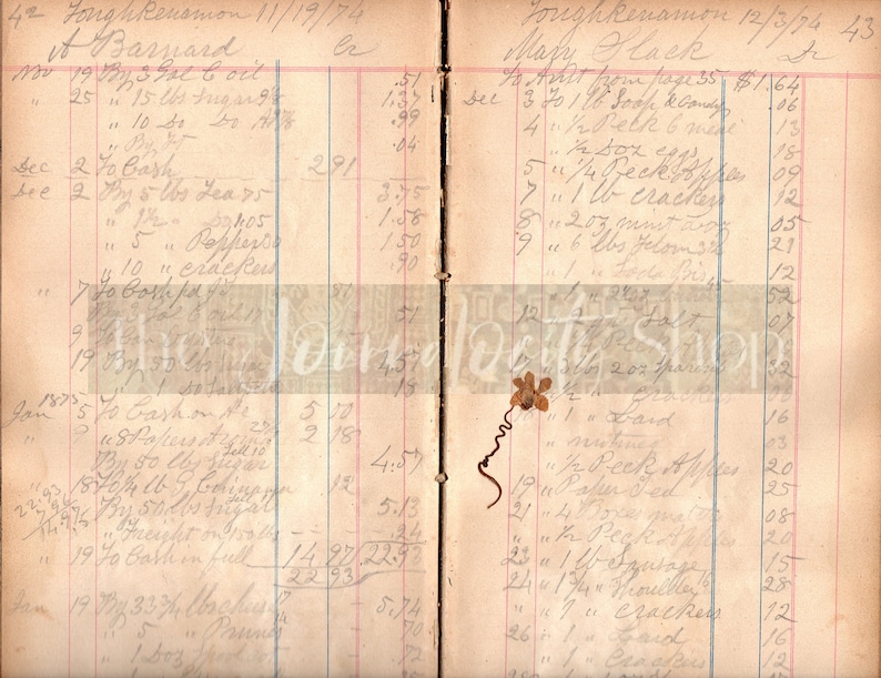 Antique Ledger Pages INSTANT Digital Download | Etsy