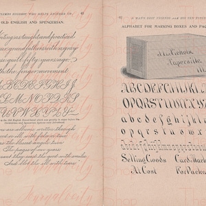 ORNAMENTAL DRAWINGS and PENMANSHIP, Instant Digital Download; Script ...