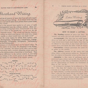 ORNAMENTAL DRAWINGS and PENMANSHIP, Instant Digital Download; Script ...