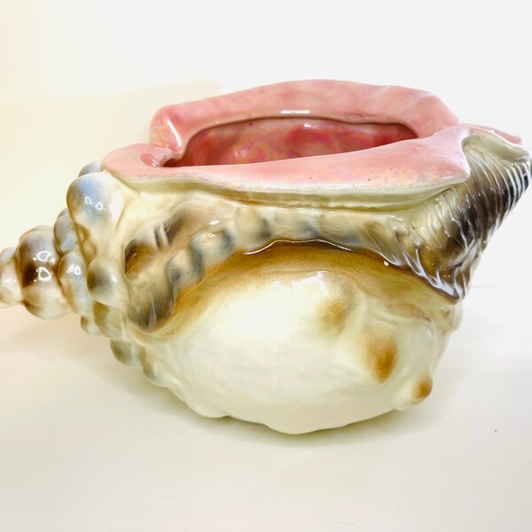 Conch Shell Planter - Etsy