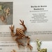 Spring Peeper PDF Frog Pattern - Etsy Canada