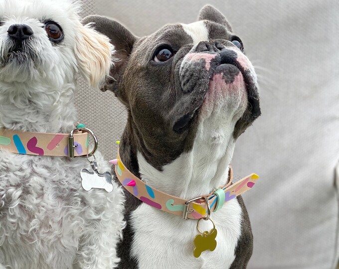 Senor Squiggle Collar Multi Colour Spiked Leather Dog Collar - Etsy