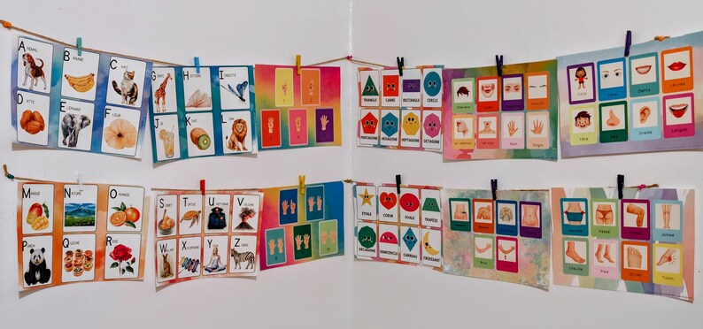 Mini Pack in French on Anatomy/body Parts (PDF). 5 Downloadable and ...