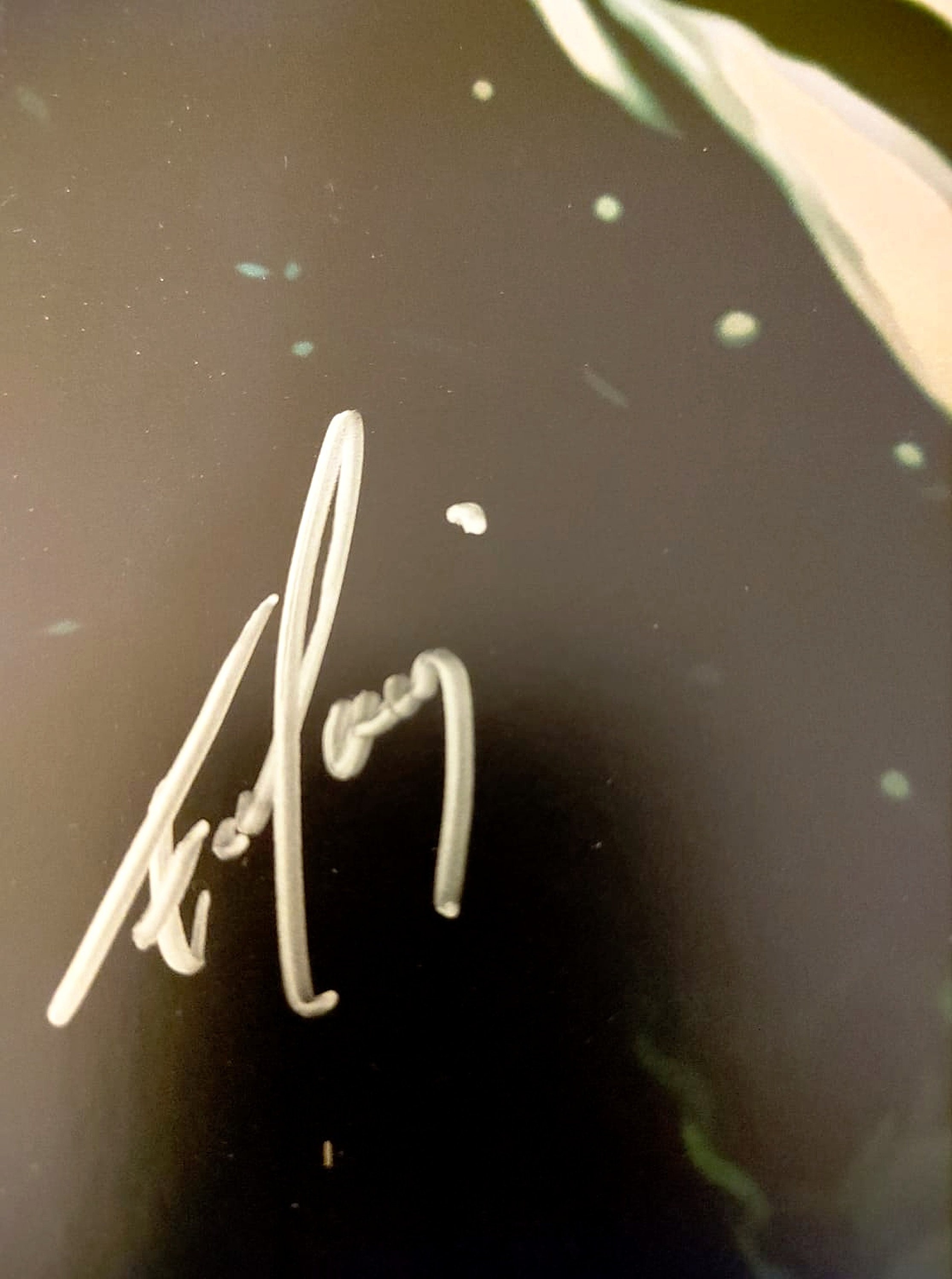 2019 the Catman, Peter Criss kiss Original Signed CGI Digital Artwork ...