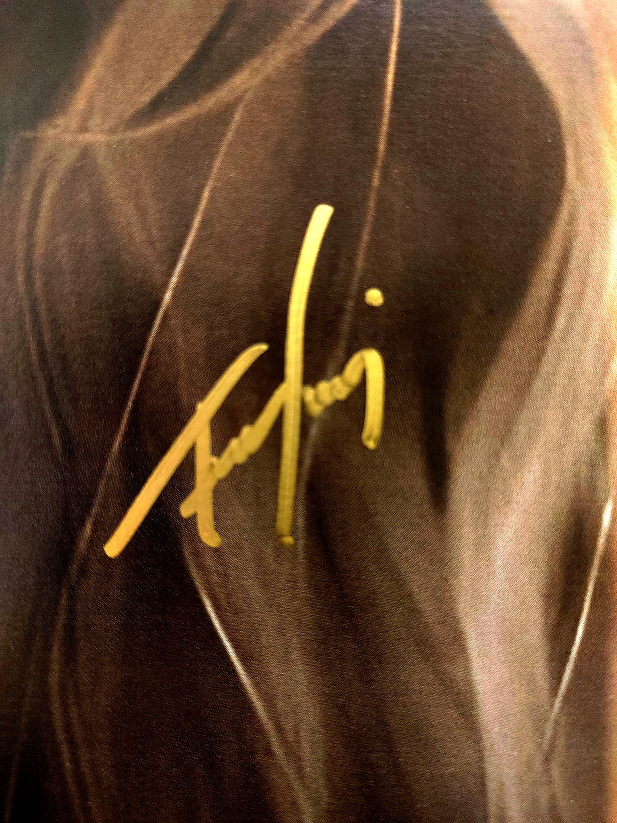 2022 naomi Watts the Ring signed Limited Edition Print Originally Drawn ...