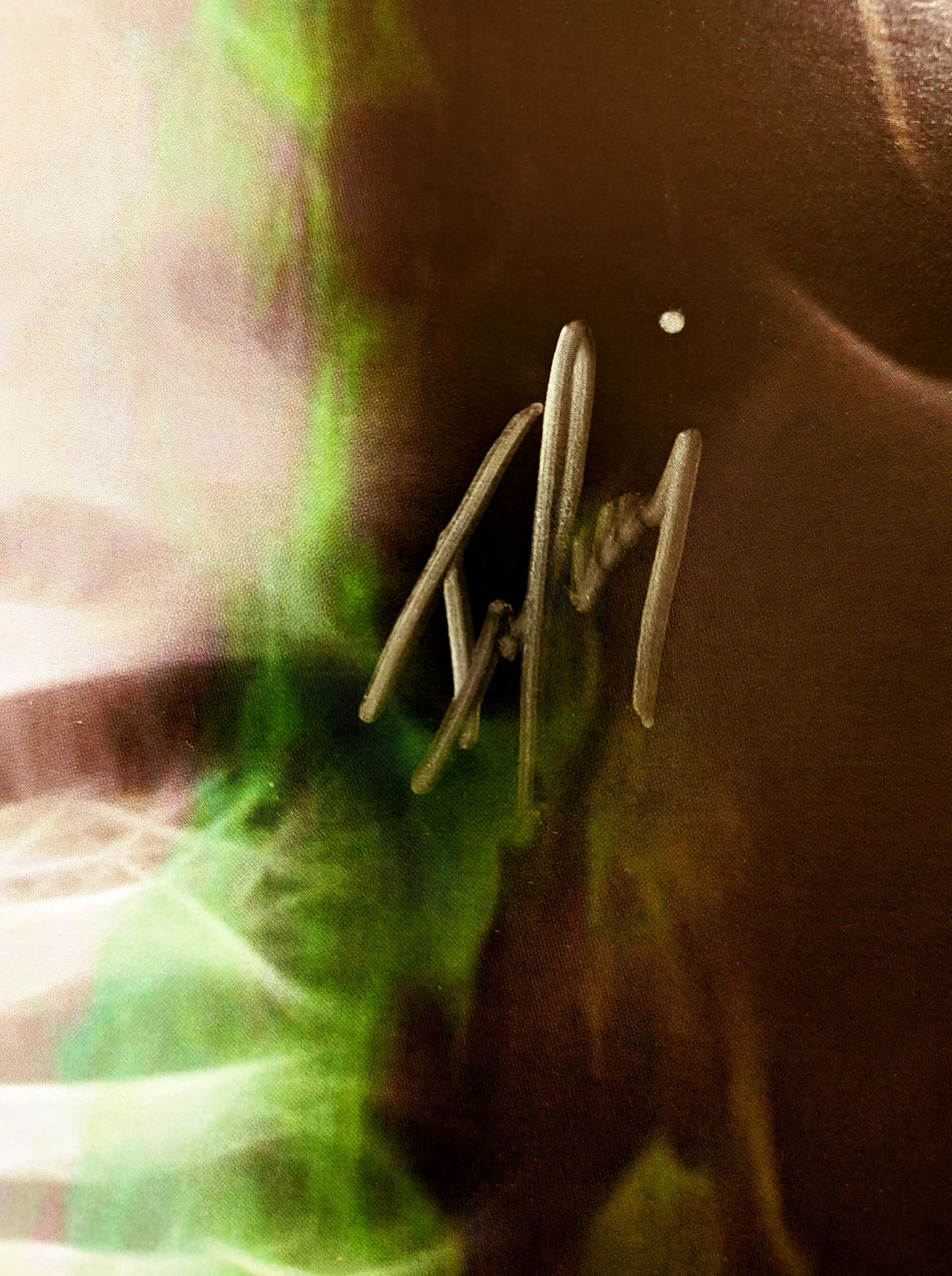 2020 montreal Adam Ant signed Digital Artwork Print - Etsy