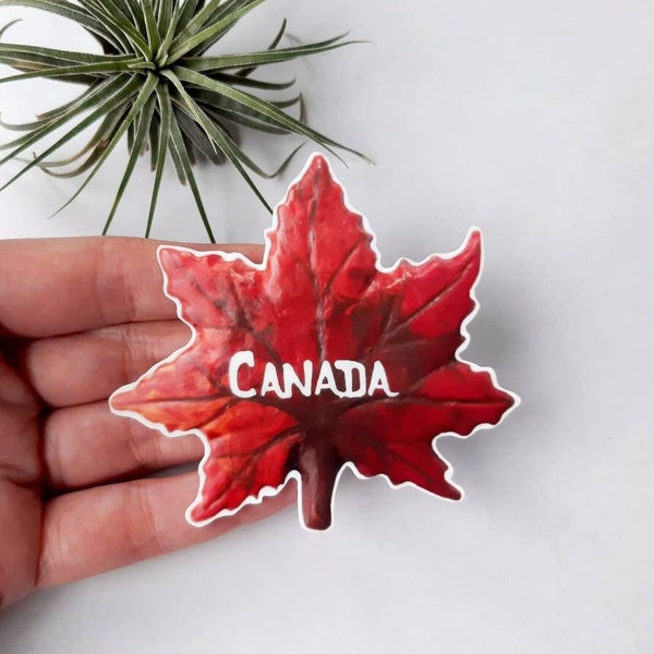 Laminated Maple Leaf - Etsy