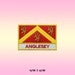ANGLESEY County Flag Embroidered Iron on Patch Sew on Badge - Etsy