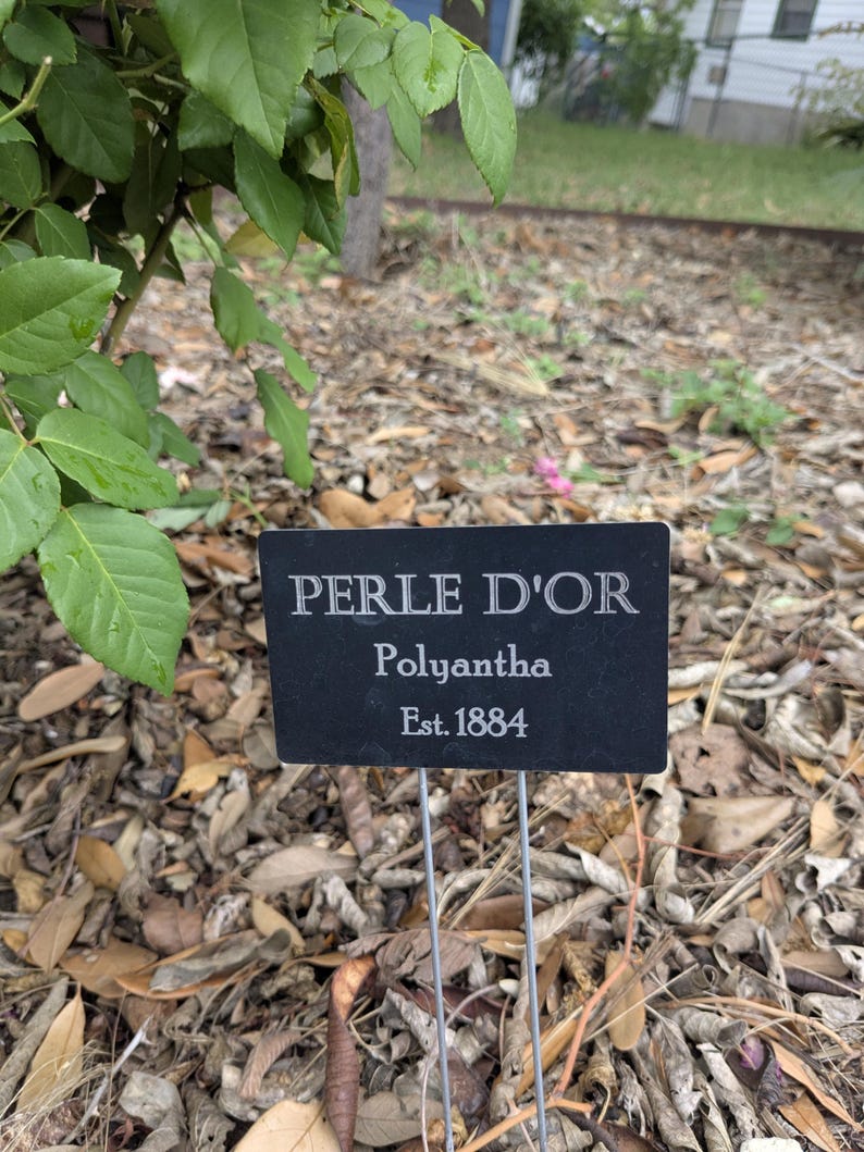 Custom Engraved Metal Plant Markers, Weatherproof Laser Engraved Garden ...