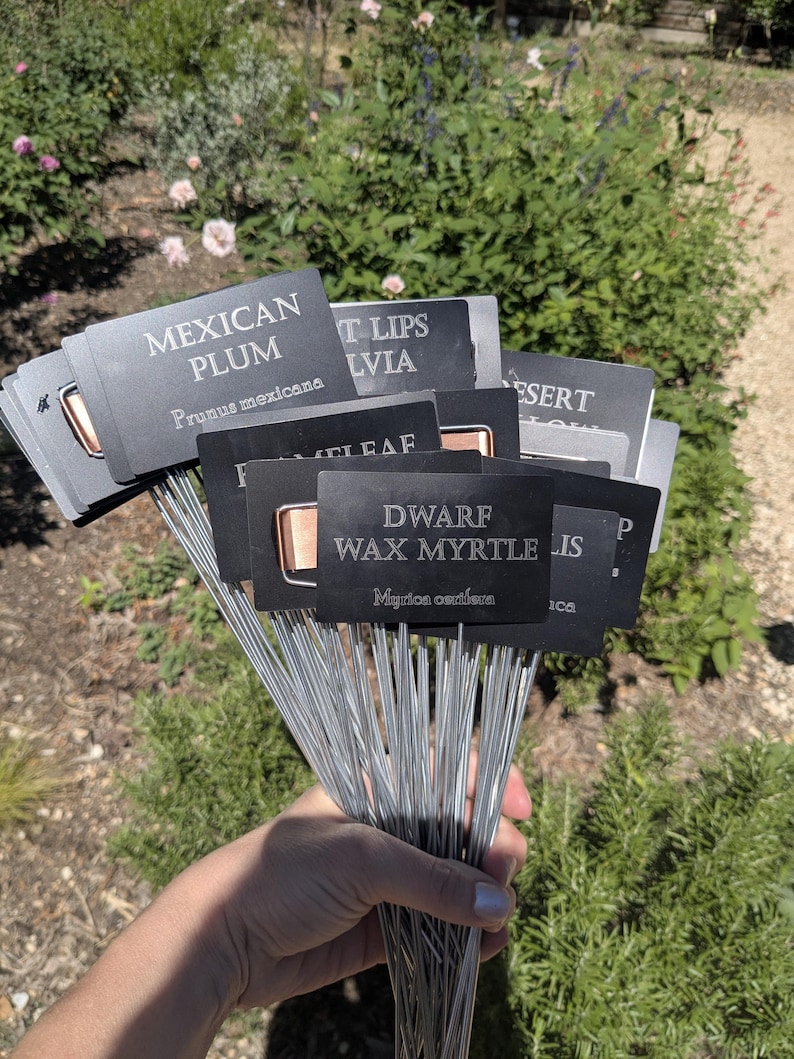 Custom Engraved Metal Plant Markers, Weatherproof Laser Engraved Garden ...