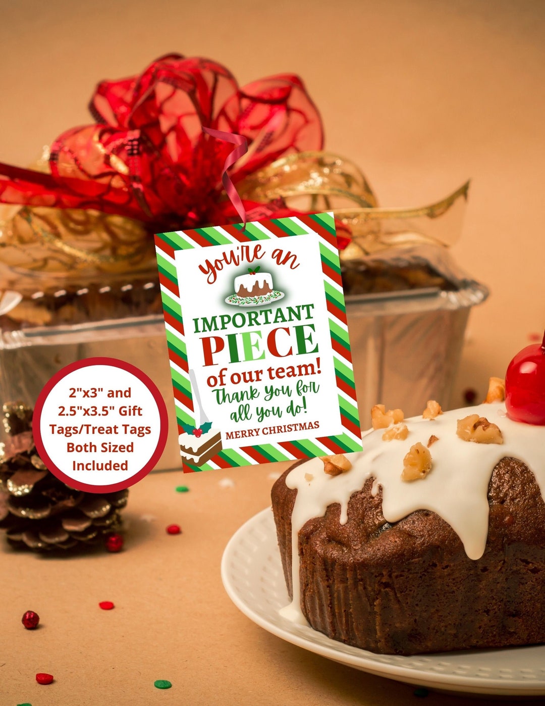 Christmas Gift Tag Printable, Printable Christmas Tag, Nurse ...