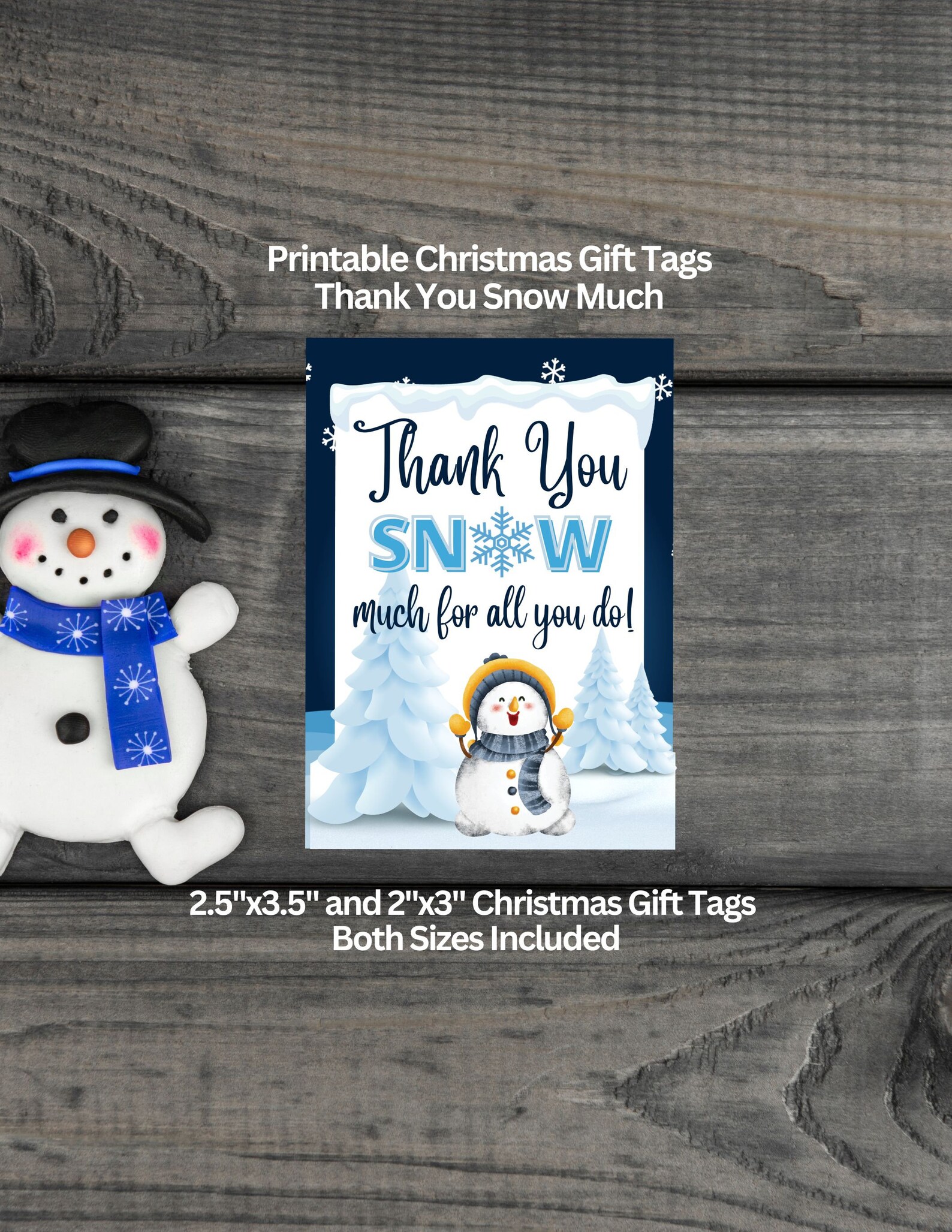 Snowman Christmas Gift Tags, Printable Appreciation Teacher Tags (PDF ...