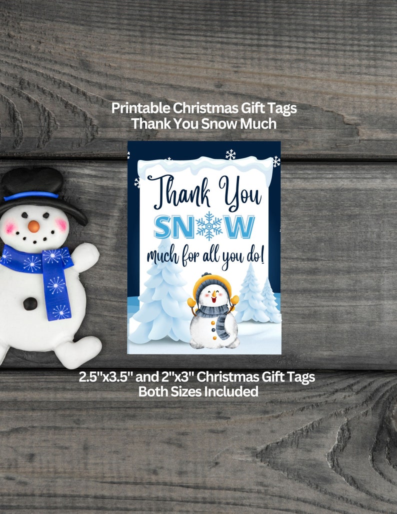 Snowman Christmas Gift Tags, Printable Appreciation Teacher Tags (PDF ...