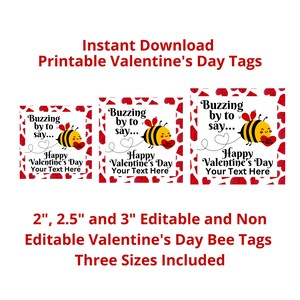 Editable Valentine Gift Tag, Valentine Treat Tag, Printable Valentine ...