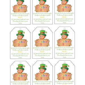 St Patrick's Day Treat Tag, Leprechaun Bait Tag, Lucky Charm Tag, St ...