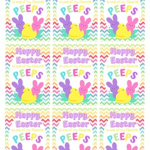 Easter Treat Tags, Easter Gift Tags, Editable Easter Treat Tags ...