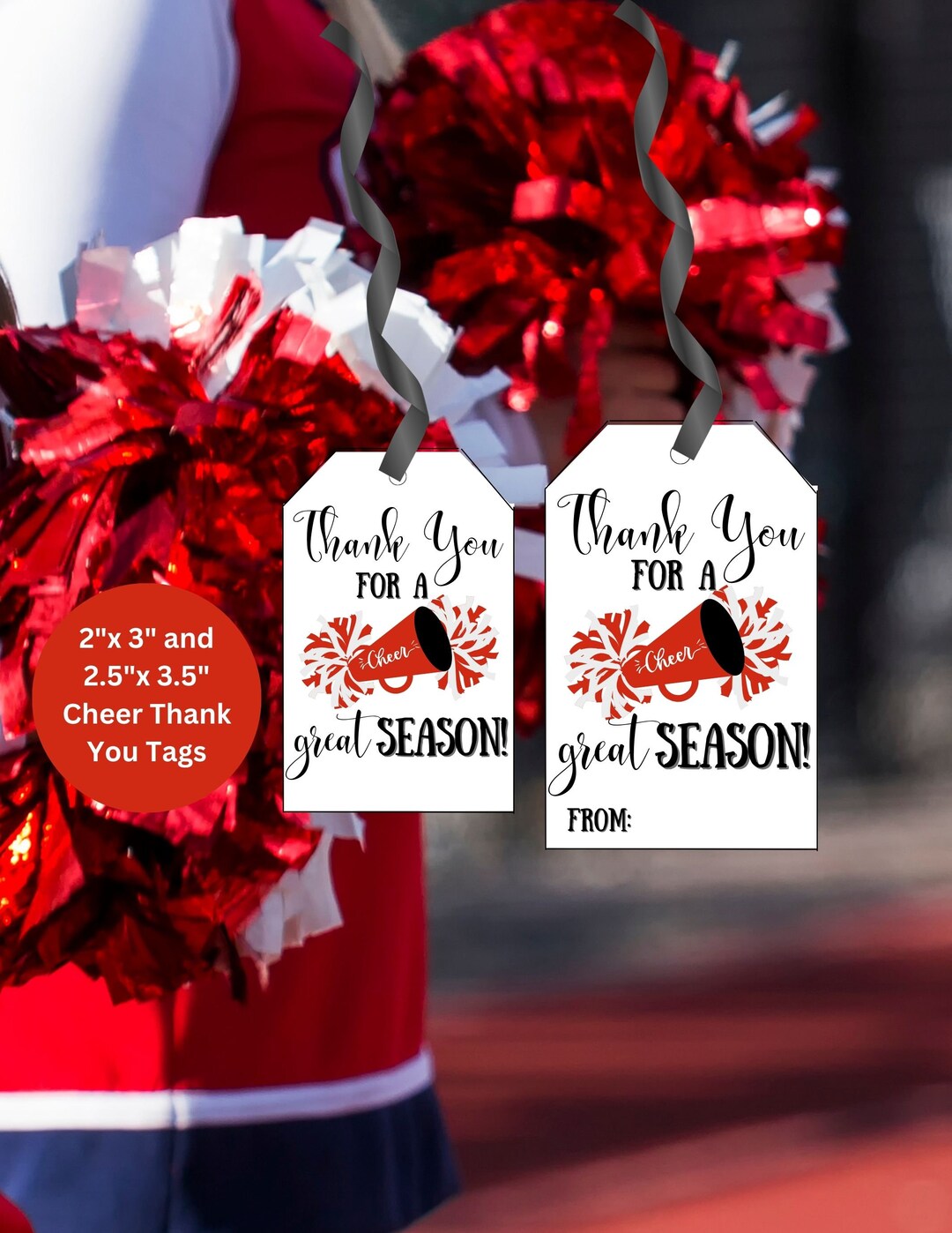 Cheer Tag, Cheerleading Thank You Tag, Good Luck Tag, Cheer Snack Tag ...