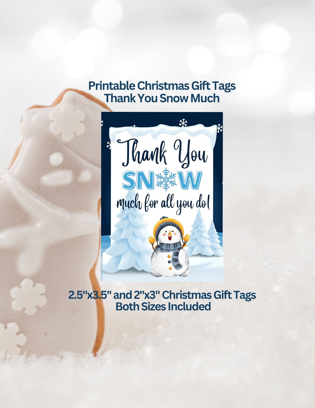 Christmas Gift Tag Printable, Snowman Tag, Snowman Gift Tag, Thanks ...