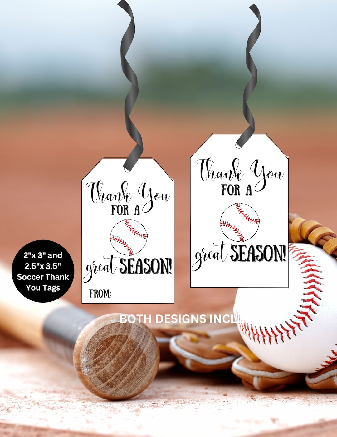Baseball Tag, Baseball Thank You Tag, Good Luck Tag, Baseball Snack Tag ...