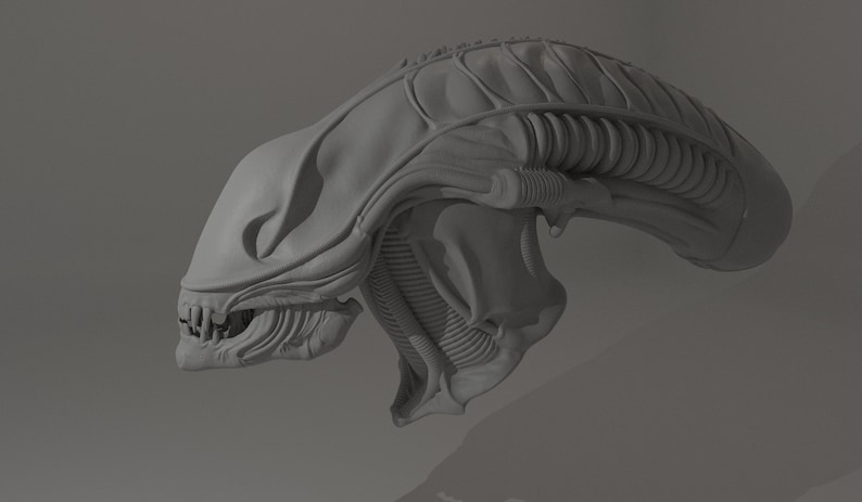 Aliens (1986) Screen Accurate Alien Warrior Head 3D Model Fan Art - Etsy