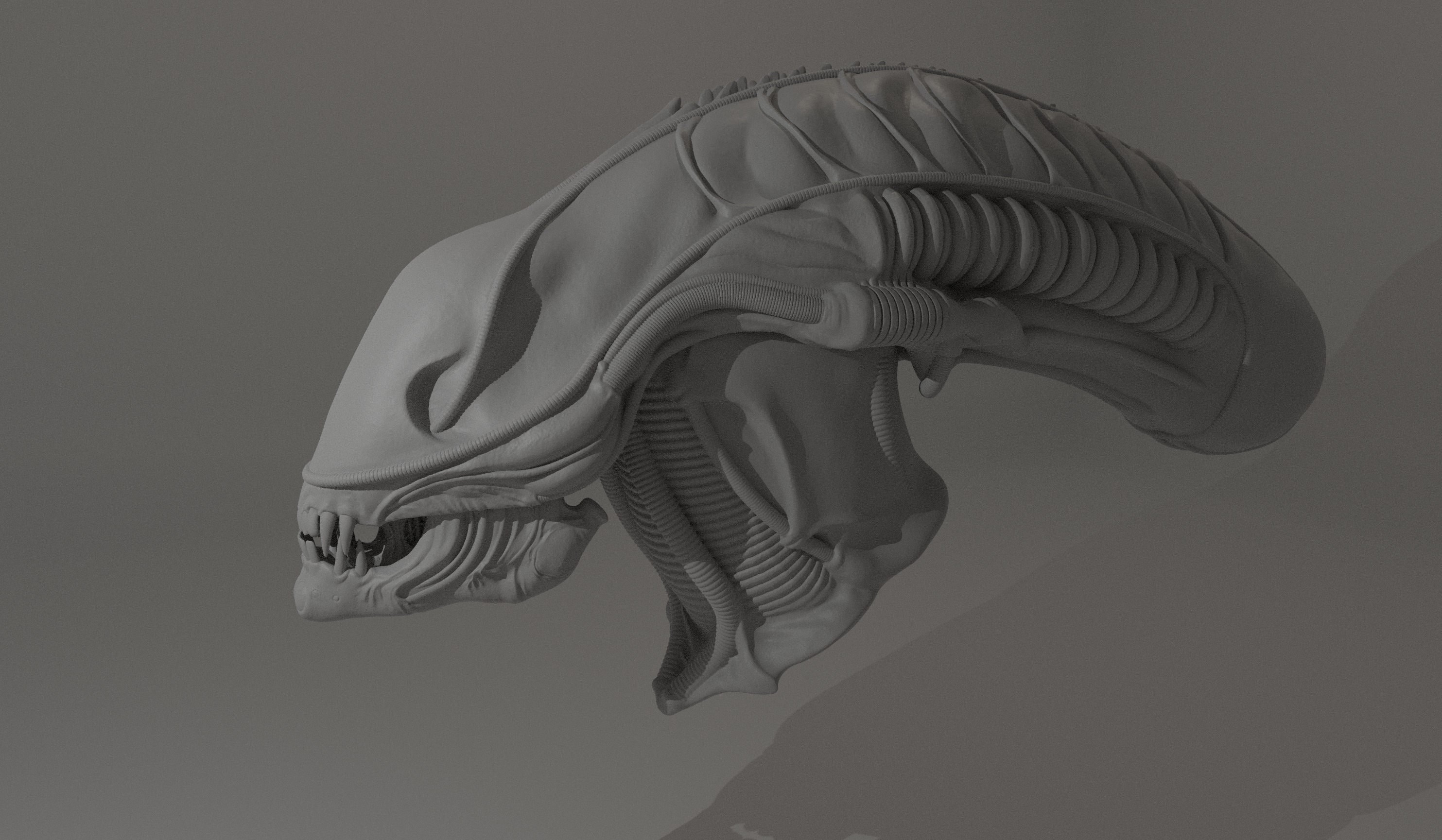 Alien 1986 Xenomorph