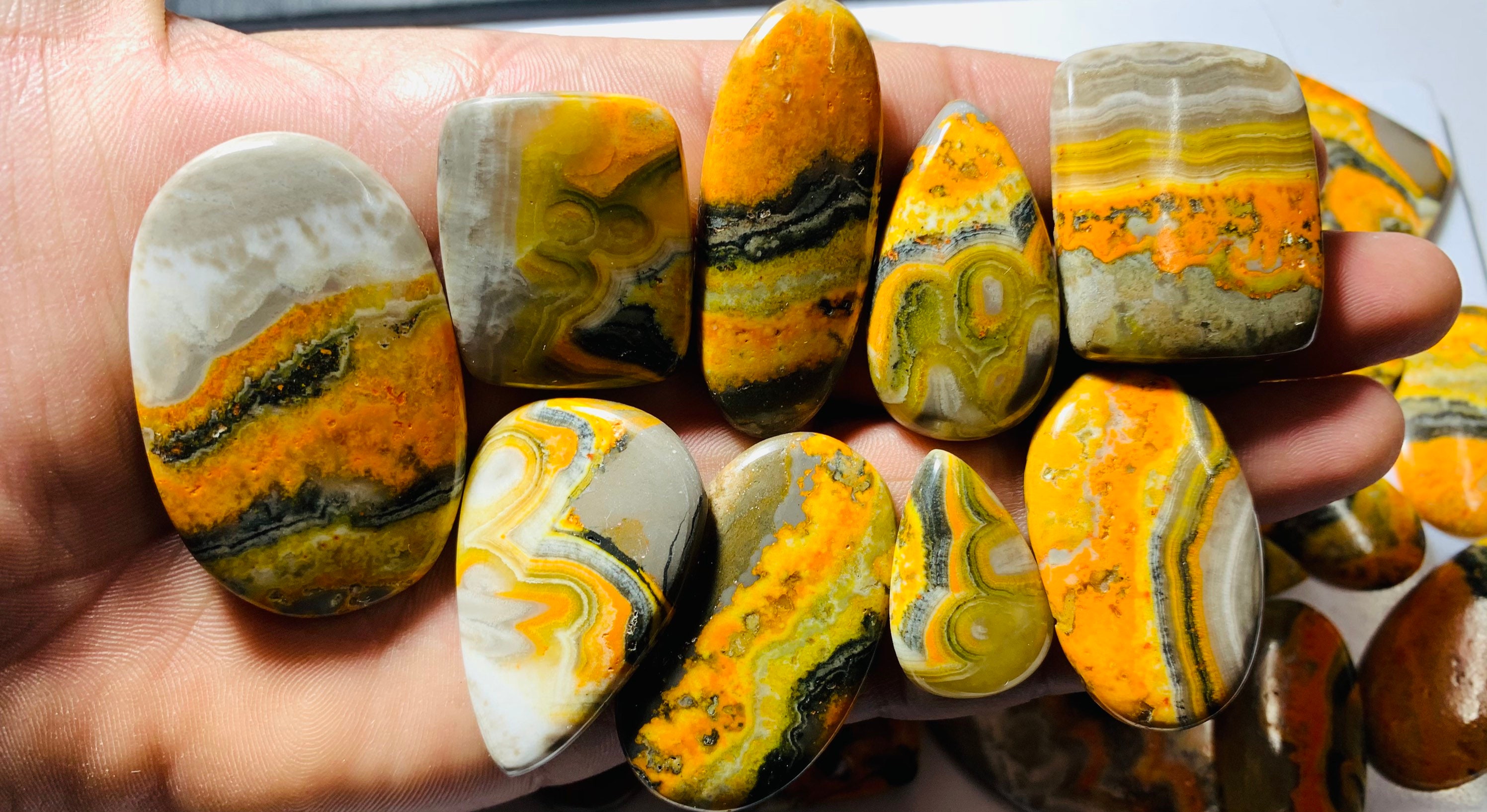 Bumble Bee Jasper Lot Amazing Bumble Bee Cabs Wholesale Lot - Etsy