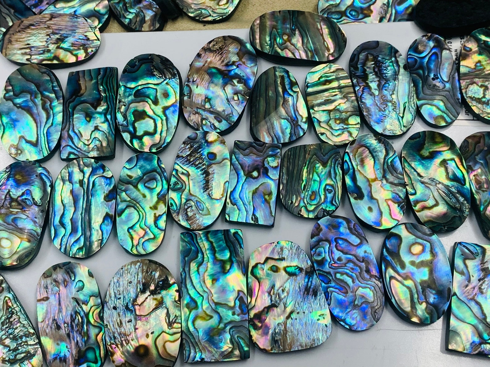 Natural Abalone Shell Piece Wholesale Lot Abalone Shell for - Etsy