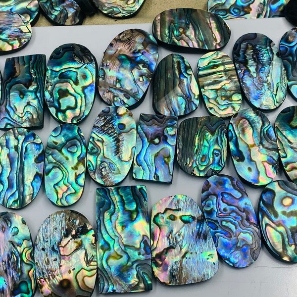 Blue Abalone Shell - Etsy