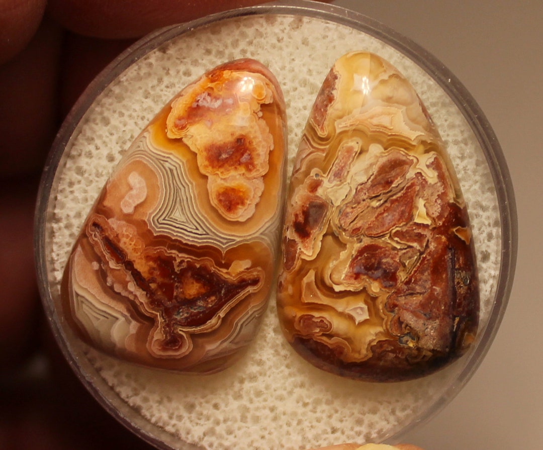 DRYHEAD AGATE MONTANA – Big Horn Canyon – Pair of 25 X 16 Mm Freeforms ...