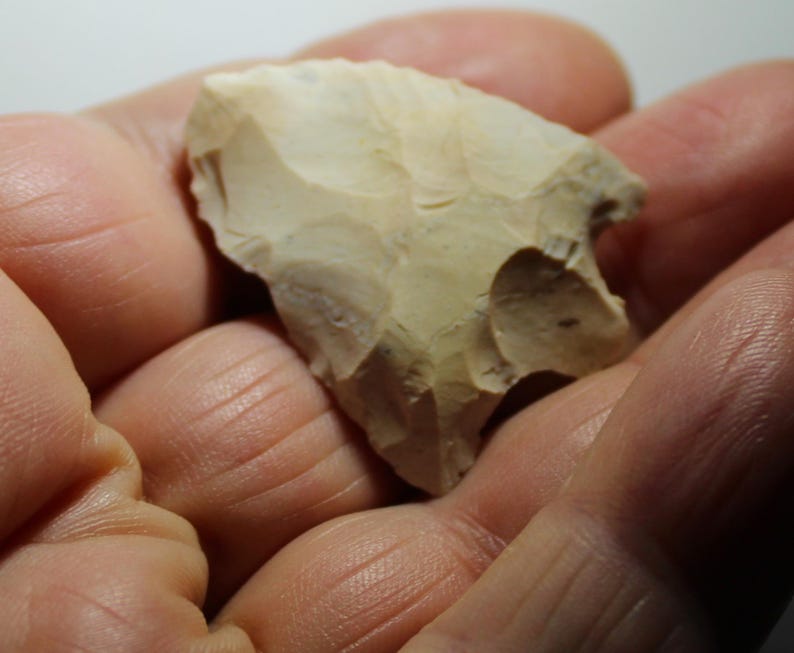 PREHISTORIC NATIVE AMERICAN Artifact – Crystal River Florida – Medium ...