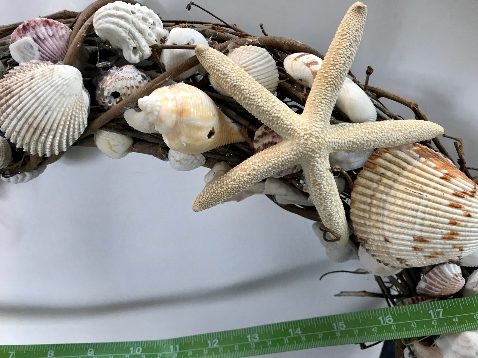 Handmade Seashell and Grapevine Wreath Natural Beauty for - Etsy