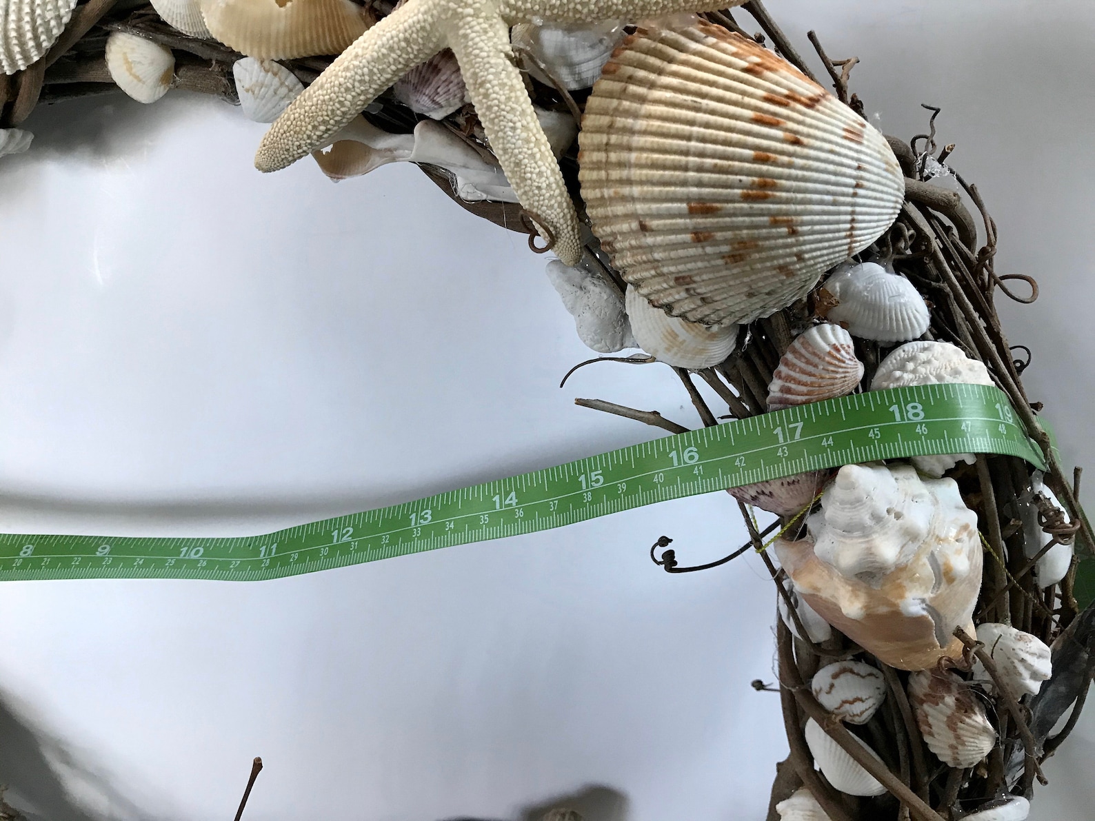 Handmade Seashell and Grapevine Wreath Natural Beauty for - Etsy