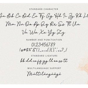 Single Line Font, Monoline Font, Template Font, Branding Font, Canva ...