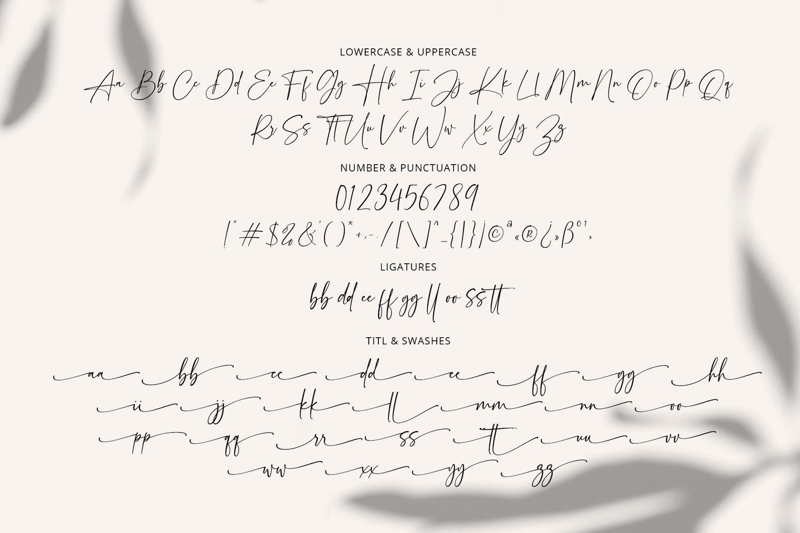 Calligraphy Font Modern Script Handwritten Font Wedding - Etsy